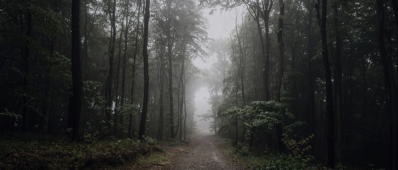 What Our Weddings Say about Marriage – The Center for Faith